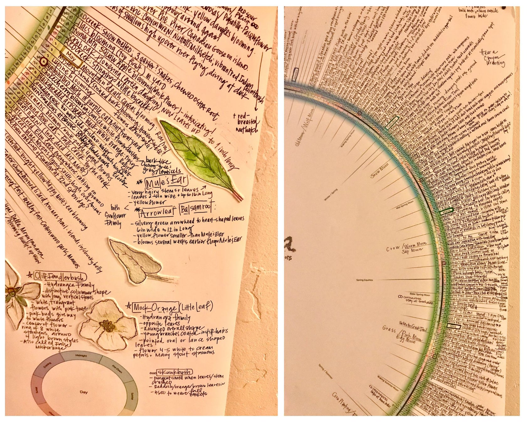 CYCAL Nature's Calendar - Where wild geese meet moonlight.